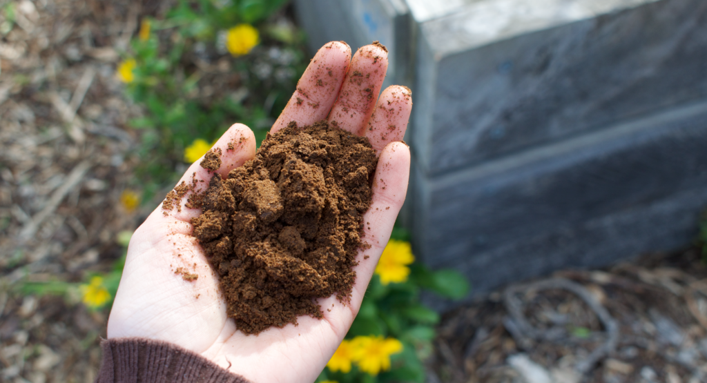 Corporate Coffee | Office Coffee Machines | 7 Grams Coffee